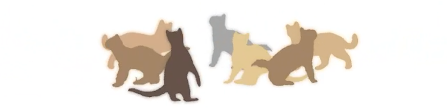 [MEOWSING] Release notes | MONYA